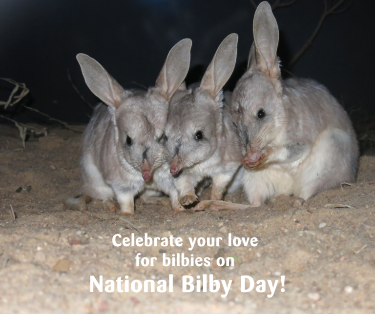 National Bilby Day - Save The Bilby Fund