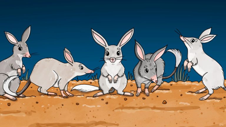Home - Save The Bilby Fund