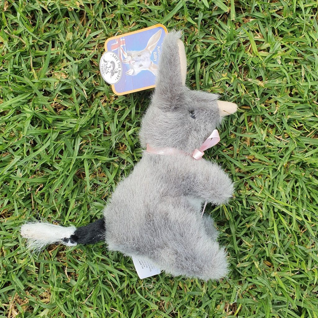 Bilby Plush Toy - Small - Save The Bilby Fund