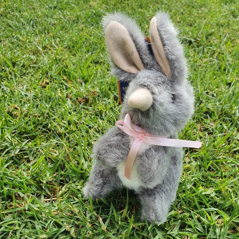Bilby Plush Toy - Small - Save The Bilby Fund