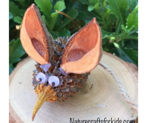 Bilby Craft Ideas - Save The Bilby Fund