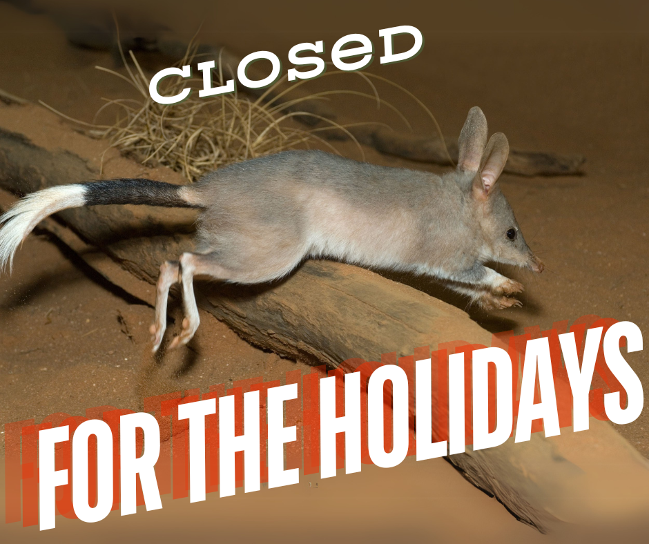 It's the holidays so Charleville Bilby Experience is closed - Save The ...