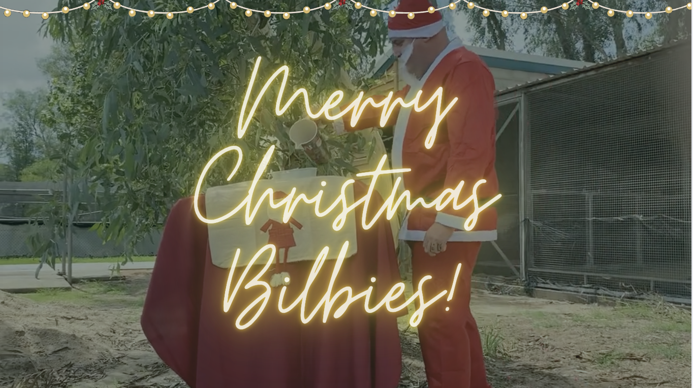 Merry Christmas Bilbies! - Save The Bilby Fund