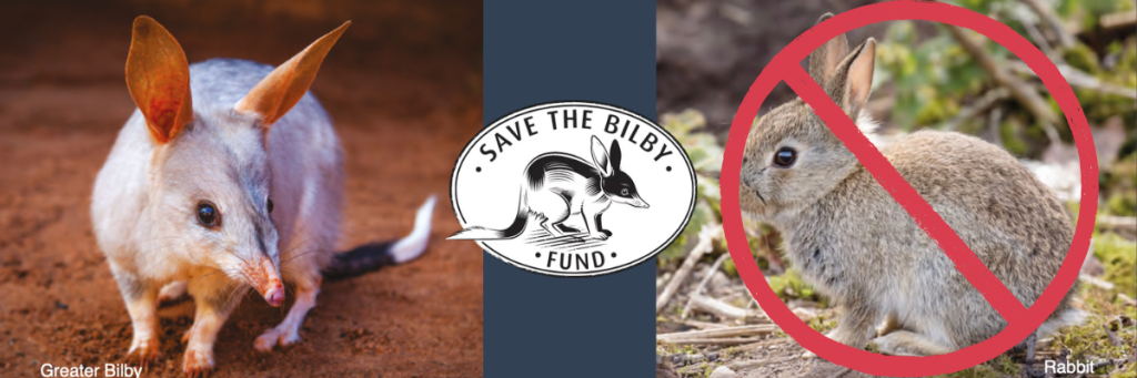 Bilbies not bunnies at Easter! - Save The Bilby Fund