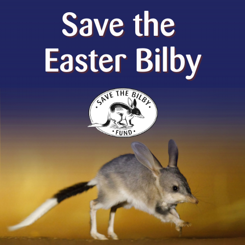 Home - Save The Bilby Fund